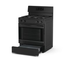 Criterion® 30" 5.0 cu.ft Black Gas Range at Menards®