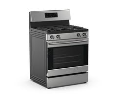 Criterion® 30" 5.0 cu.ft Stainless Steel Gas Range at Menards®