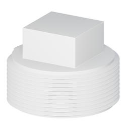 4" Sewer and Drain PVC Threaded Cleanout Plug at Menards®