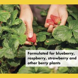 True Organic™ Berry Plant Food - 4 lb. at Menards®
