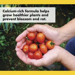 True Organic™ Vegetable & Tomato Plant Food - 4 lb. at Menards®