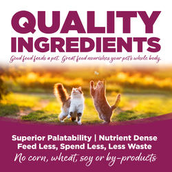 NutriSource® Chicken & Rice Dry Cat & Kitten Food - 4 lb. at Menards®