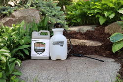 Landscape Loc® Mulch & Rock Bond at Menards®