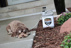Landscape Loc® Mulch & Rock Bond at Menards®