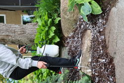 Landscape Loc Mulch & Rock Bond - 5 gallon at Menards®