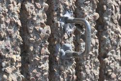 Akona® Fast-Setting Anchoring Epoxy - 8.45 fl. oz. at Menards®