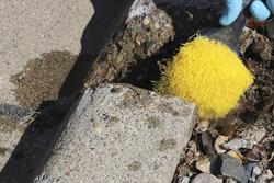 Rapid Patch Concrete Repair Mortar - 20 Lb. at Menards®