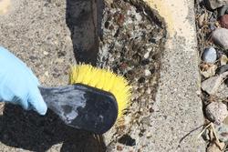 Rapid Patch® Multi-Purpose Repair - 50 Lb. at Menards®