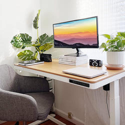 Uncaged Ergonomics® Rise Up Essential Electric Standing Desk at Menards®