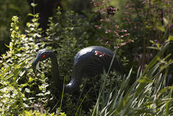 4' Zombie Flamingo Halloween Yard Stakes - 2 Pack at Menards®