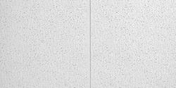 USG® Radar™ Illusion 2' x 4' White Acoustical 2-Square Drop Ceiling Tile - Pack of 6 (48 sq. ft ...