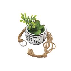 3-3/4" Route 66 Hanging Planter at Menards®