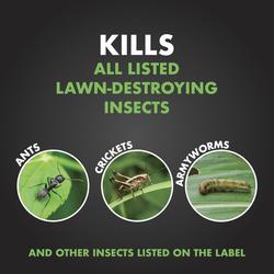 Spectracide® Triazicide® Granular Lawn Insect Killer - 10 lb. at Menards®