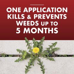 Spectracide® One Shot™ Weed & Grass Killer with Accushot® Sprayer - 128 ...