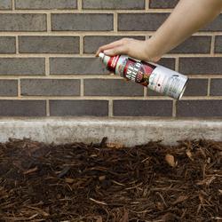 Spectracide® Ant Shield® Aerosol Home Insect Killer - 15 oz. at Menards®