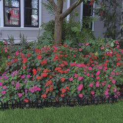 10' Decorative No-Dig Landscape Edging Kit at Menards®