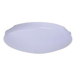 Patriot Lighting® Frosted White Acrylic Shade at Menards®