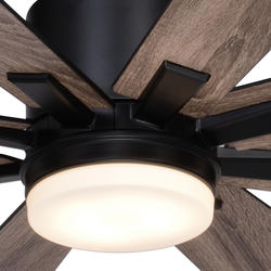 Patriot Lighting® Crawford 60" Black Indoor LED Ceiling Fan with Remote ...