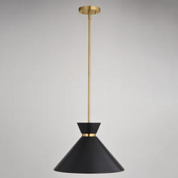 Patriot Lighting® Racine Matte Black 1-Light Indoor Pendant at Menards®
