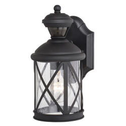 Patriot Lighting® Henderson Textured Black 1-Light Decorative Security ...