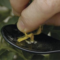 VegiBee™ Battery-Powered Garden Pollinator Express at Menards®