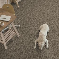 U-Carpet™ Classic Path Rhythm Brown Indoor/Outdoor Carpet 12 ft. Wide ...