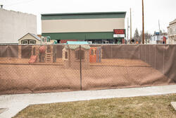 EZ Privacy Screen™ 44"x50' Tan Fence at Menards®