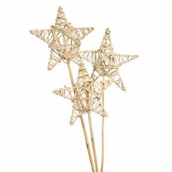 20" Decorative Matte Pick - Assorted Styles at Menards®