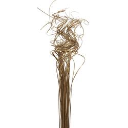 20" Decorative Matte Pick - Assorted Styles at Menards®