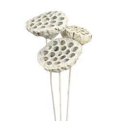 20" Decorative Matte Pick - Assorted Styles at Menards®