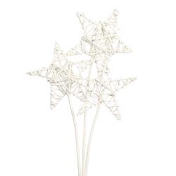 20" Decorative Matte Pick - Assorted Styles at Menards®