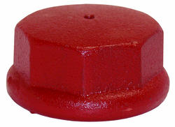 Water Source 2" Well Point Drive Cap at Menards®