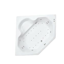 WaterTECH 60"W x 60"D x 23-1/2"H Biscuit 28-Jet Dual Massage Corner ...