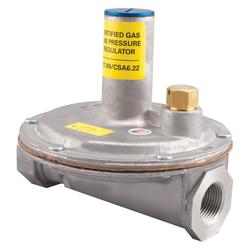 Dormont® 3/4" Natural Gas Appliance Regulator at Menards®