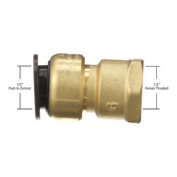Watts® AquaLock™ 1/2" Push to Connect x FIP Lead-Free Brass Connector ...