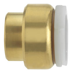 Watts® Aqualock™ 1/2" IPS Push to Connect Brass Cap at Menards®