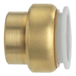 Watts® Aqualock™ 3/4" IPS Push to Connect Brass Cap at Menards®