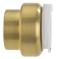 Watts® Aqualock™ 1" IPS Push to Connect Brass Cap at Menards®