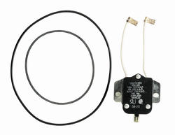 Wayne Water Systems® Replacement Switch at Menards®