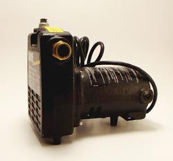 Wayne® 1/2 HP Cast Iron Portable Utility Pump at Menards®