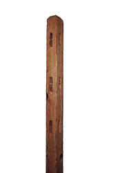 West Virginia Split Rail 3-Hole CedarTone Treated Corner Post at Menards®
