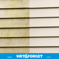 Wet & Forget® Xtreme Reach™ Hose End Moss, Mold, Mildew & Algae Stain ...