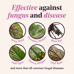 We The Wild® 3-in-1 Ready-to-Spray Botanical Systemic Organic Disease ...