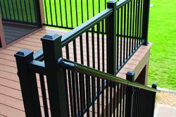 Williams Black ADA Pipe Rail Extension at Menards®