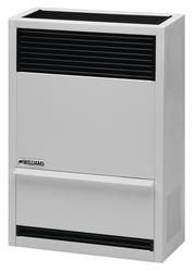 Williams™ 14,000 BTU Liquid Propane Direct-Vent Forced Air Wall Heater ...