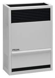 Williams™ 14,000 BTU Liquid Propane Direct-Vent Forced Air Wall Heater ...