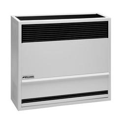 Williams™ 22,000 BTU Liquid Propane Direct-Vent Forced Air Wall Heater ...