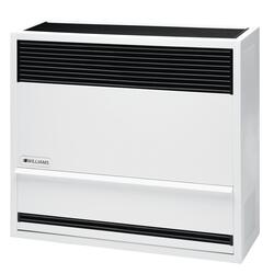 Williams™ 30,000 BTU Liquid Propane Direct-Vent Forced Air Wall Heater ...