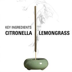 Coleman® Citronella Sticks - 14 Pack at Menards®