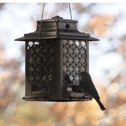More Birds® SureFill No Spill™ Metal Hopper Bird Feeder at Menards®